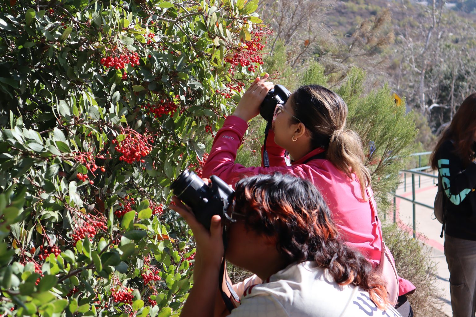 Grants Program | Arts in California Parks